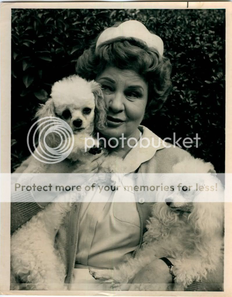 File:Shirley Booth Hazel 1964.JPG - Wikimedia Commons