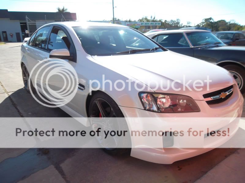 Pearl White VE SS | Just Commodores