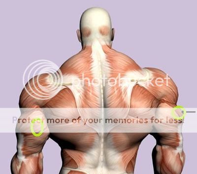 Usefull Injection Sites For Rotation